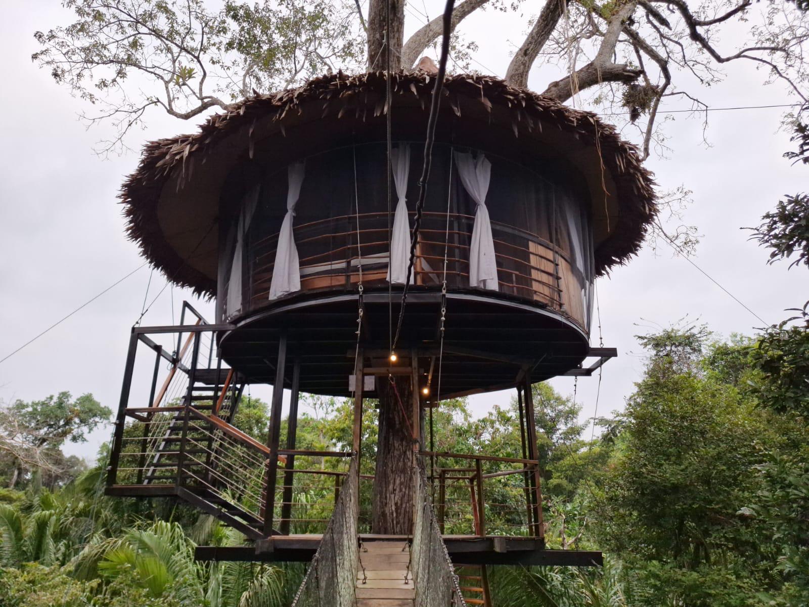 Treehouse Eleven | Amazon Rainforest Lodge | Treehouse Lodge